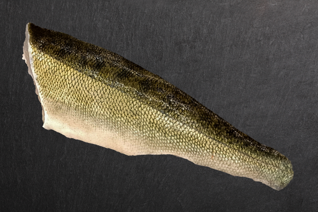 Speisefisch - Kaiserzander